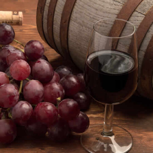 Home Wine Making the Right Way – Fermentation